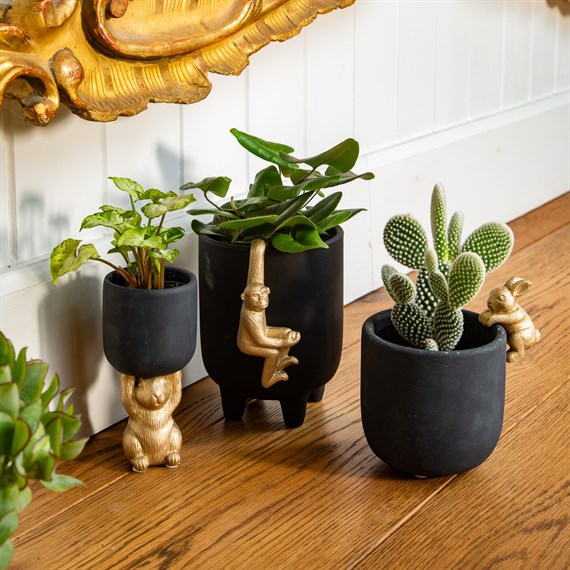 Golden Rabbit Planter