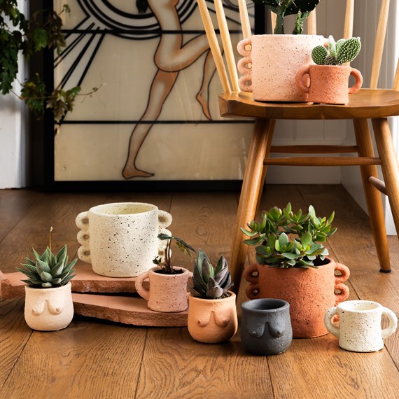 Mini Handle Planter - Assorted